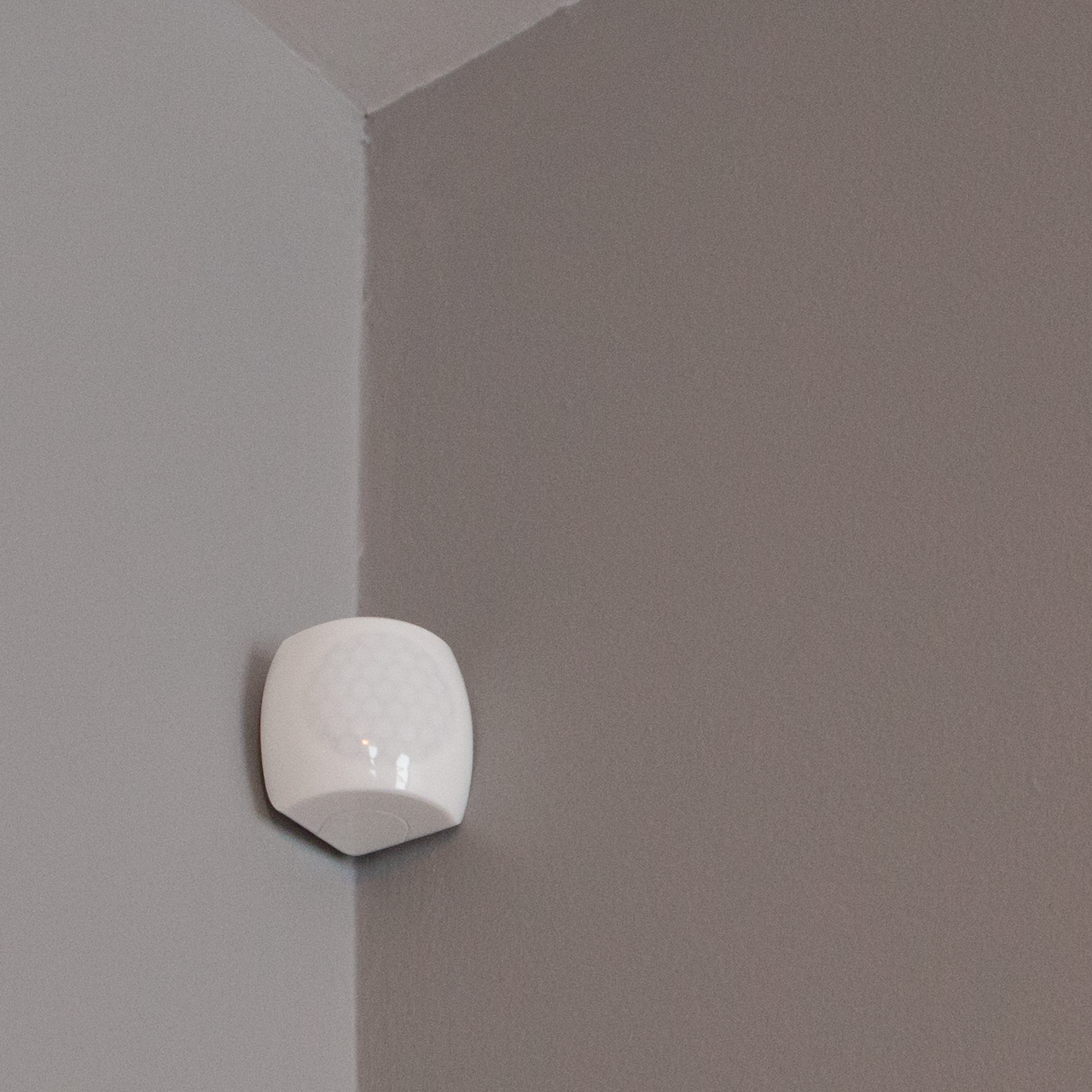 Smart Home Sensors | Motion And Leak Detection