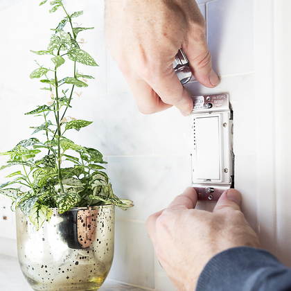 Dimmer Switch | Insteon